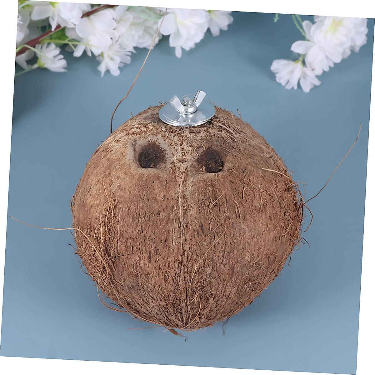 BUGUUYO Coconut Shell Nest for Birds Bird Toys Coconut House Nest for Parrots Bird Nest for Small Pets Bird House