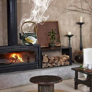 Funmaker Japanese Style Tetubin Tea Kettle Iron Teapots Japanese Cast Iron Teapot Handmade Uncoated Teapot Health Teapot 40.5oz / 1200ml (Type-8)