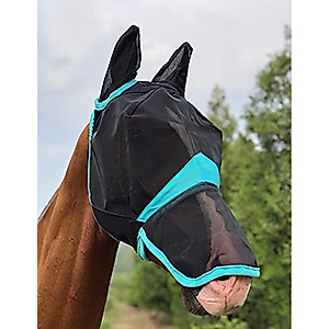 TGW RIDING Horse Mask Full Face Mesh Mask Fine Mesh with Ears and Long Nose (Cob, Black/Turquoise)
