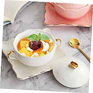 1 set Tea Lid Jar Lids with Relief Ice White Handles Disc Sealing Bowls for Seasoning Dessert Bird Ceramic Steam Holder Saucer Stock Casserole and Food Steaming Home Double