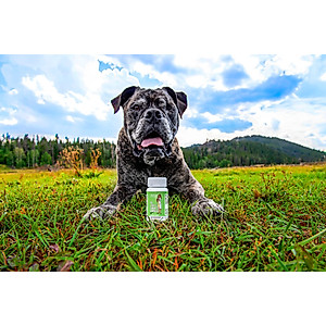 New Zealand Deer Velvet Senior Formula for Dogs