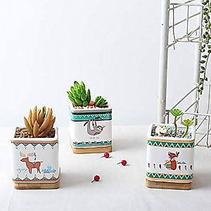 Zamtac Set of 6 Cartoon Animal Painting Planters Ceramic Succulent Plant Pot Porcelain Desktop Bonsai Planter Flamingo Panda Fox