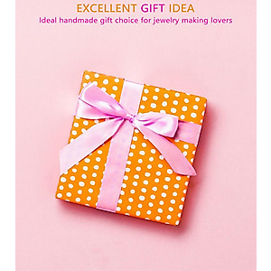 HINSOCHA Bead Bracelet Kit - 1020 Pcs Gradient Colorful Beads Bulk (6mm+8mm) for Bracelet Making, DIY Crafts