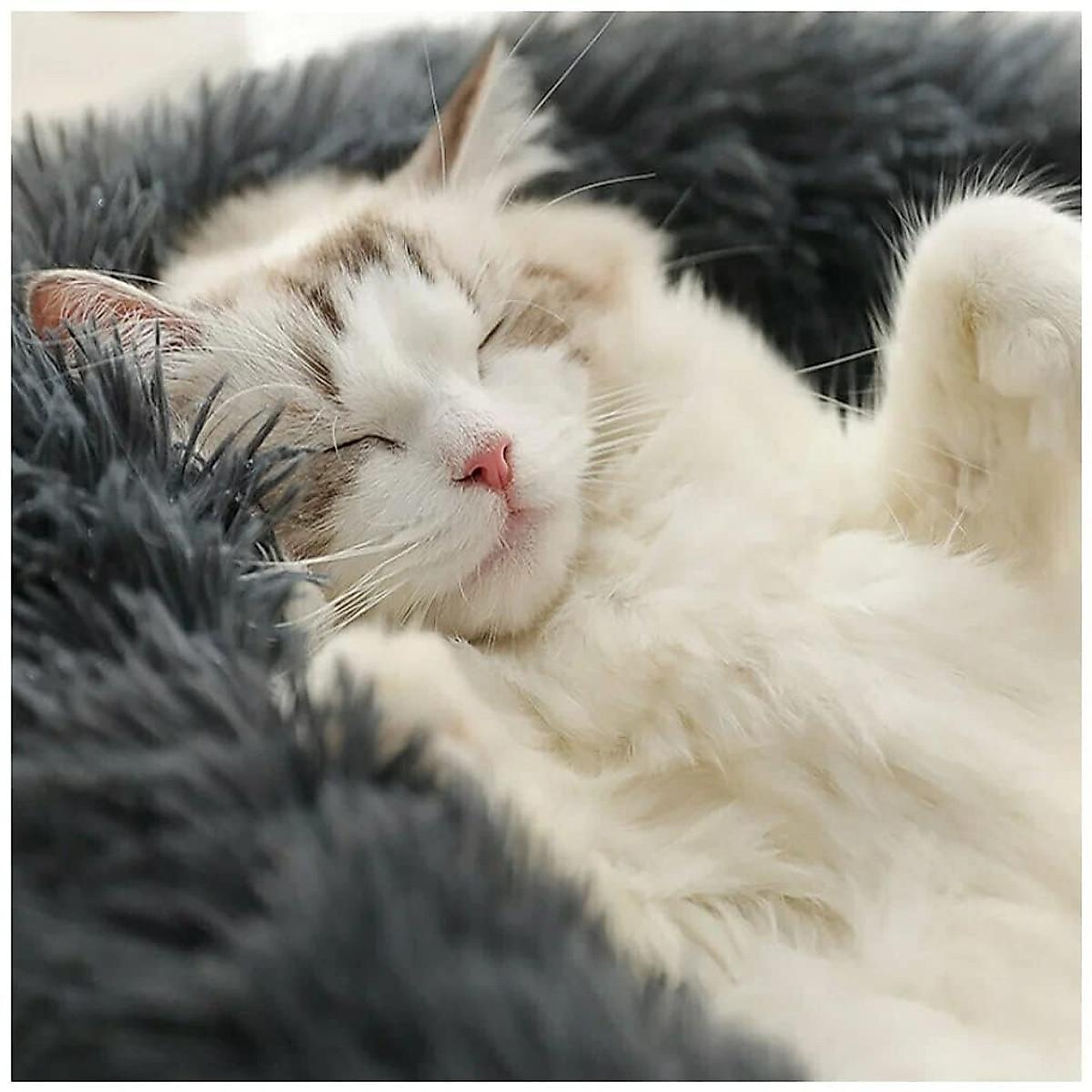 Geizire Cat Bed Dog Bed for Cats, Small Dogs, Washable Donut Calming Round,Soft Fluffy Warm and Cozy Anti Anxiety Cuddler, Joint-Relief Pet Bed (Medium, Green)