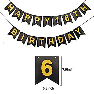 Luxiocio Happy 16th Birthday Party Supplies Decorations Kit - Including Happy 16th Birthday Banner, 12Pcs Hanging Swirl, 6Pcs Poms - Sixteen Birthday Decorations for Boys & Girls