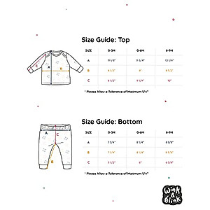 WINK & BLINK Artic Explorer Organic Baby Playwear Setss, 2-Pack Top & Bottom Set, 100% Organic Cotton Baby Clothes 9M
