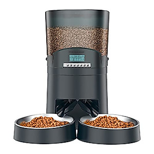 Cat Feeder, HoneyGuaridan 6.5L Automatic Pet Feeder for Two Cats Dogs Food Dispenser Auto Cat Feeder 6 Meal Portion Control, Distribution Alarm, Programmable Timer Feeder, Customizable Voice Recorder