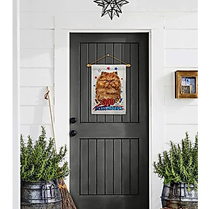 Breeze Decor Patriotic Tan Persian Garden Flag Set Wood Dowel Cat Kitten Meow Spoiled Paw Fur Pet Nature Farm Animal Creature House Banner Small Yard Gift Double-Sided, Made in USA