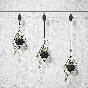Ni Hong electron Plant Pulley Adjustable Hanging planters Flower Basket Hook，Retractable Planters Flower Basket Hook，Retractable Hook , for Garden Baskets pots Birds Feeder Hook（Black x3）