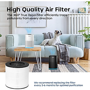 H13 True HEPA Filter, Compatible With STEALTH JAP230W JAP230B STEALTH JAP230AC1 Air Purifier Replacement Filter, 3-in-1
