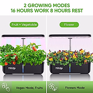 TILTOP Hydroponics Growing System 12 Pods Indoor Herb Garden with 36W LED Grow Light, Height Adjustable Indoor Grow Kit Countertop Garden Automatic Timer Black