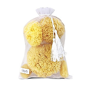 Real Natural Sea Sponges Multipack - 5pc Spa Gift Set in Premium Bag, Kind on Skin, for Bath Shower Facial Cleansing, Pamper Moms Brides Girlfriends & Teens by Constantia Beauty®