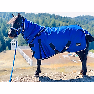 Star Point Horsemanship Mini-Pony Horse Ripstop Waterproof Windproof Blanket Hooded Lightweight Turnout Rain Sheet Breathable Lining 1200 Denier Material 220 Fill (46-48", Teal)