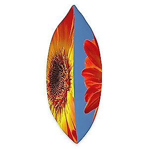 TAYEGU Daisies Flowers Floral Orange Gerber Floral Flowers Daisies Gerbera Throw Pillow, 16x16, Multicolor