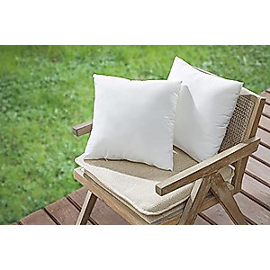 Codi Outdoor Pillow Inserts Set of 2, 20x20 Throw Pillows Insert, Water Resistant Decorative Stuffing Cushion for Patio Furniture. Couch, Porch Indoor Outdoors