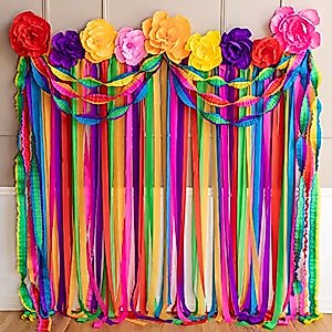Riles & Bash Fiesta Streamer Backdrop with Crepe Paper Flowers and Ruffled Streamers (Fiesta)