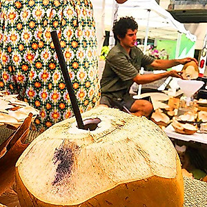 400 Pieces bluTensils Biodegradable Compostable Eco-friendly Bulk Standard Paper Straw Utensil Party Holiday Events Supplies Juice Tea Bar (Black, Standard)