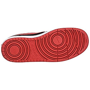 Nike Court Borough Low 2 (Big Kid)