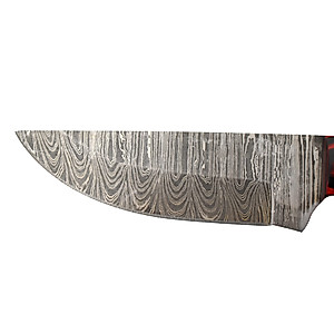 Wild Turkey Handmade Damascus Steel Collection Full Tang Fixed Blade Knife w/Leather Sheath Outdoors Hunting Camping Fishing (3328)