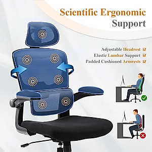 NeuType Office Desk Chair Ergonomic Home 0ffice Desk Chairs with Wheels Chairs for Desk with Lumbar Support High Back Mesh Computer Chair with Adjustable Padded Armrest Headrest Swivel Rolling,Black