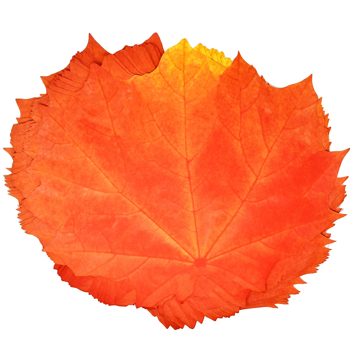 Gift Boutique 48 Pcs Paper Harvest Leaf Place Mats Orange Thanksgiving Autumn Maple Leaves Shaped Coated Table Mat 12" x 16" Fall Turkey Crafts Party Supplies Decor