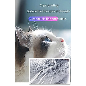 SHDSL Sublimation Ink Cartridges, Empty Refillable Ink Cartridges Compatible for WF-7110 WF-7210 WF-7610 WF-7620 WF-7710 WF-7720 WF-3620 WF-3640 Printers ARC Chip 4Pcs Reusable Ink Cartridges Kit