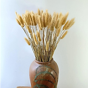 100 Pcs Natural Lagurus Ovatus Rabbit Tail Dried Flowers,17 inch/45 cm Dried Bunny Tails Grass Decor for Home Kitchen Garden Party Photographing Flower Arrangement Vase Decoration