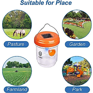 Wasp Traps for Hunting Wasps, Bees, Hornets, Insects, Yellow Jacket Traps, Wasp Trap Catcher, Reusable Solar Powered Hanging for Outdoor, 2 Packs (Orange)