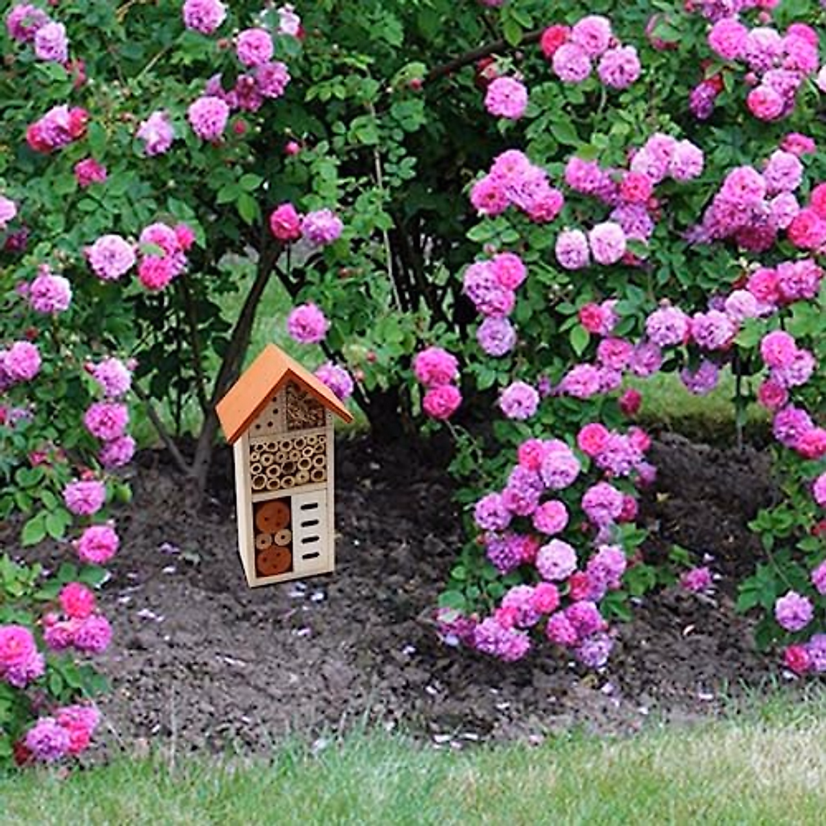 FUNPENY Wooden Insect House, Insect Hotel with Brush for Butterfly, Bees and Ladybugs