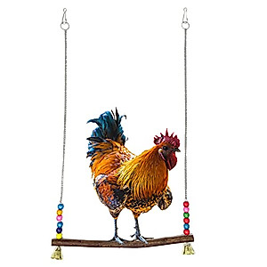 Honbay Hens Swing Chicken Toy Wooden Handmade Bird Swing Bird Toy for Large Bird Parrot Hens Cock Macaw