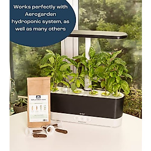 Hydroponics Sponge Grow Sponges [Pack of 50] – Organic, Sustainable, USA-Made AeroGarden Compatible Refill Sponges – 100% Coco Coir Seed Sponges – Garden Sponges with Seed Divots by Urban Leaf