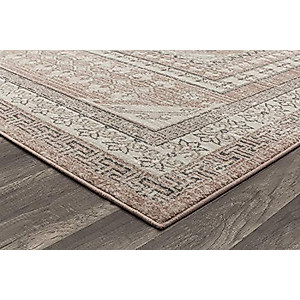 Rugs America Harper HY40A Carnation Transitional Vintage Area Rug, 5'x7'