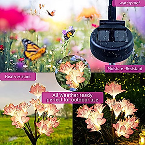 babadeda Solar Lights for Outside Garden Decor, Solar Garden Lights Flower Lights with 1 Big Solar Powered Panel Outdoor Waterproof, 2 Pack 24 Camellia Solar Flowers Outdoor Lights for Patio Decor