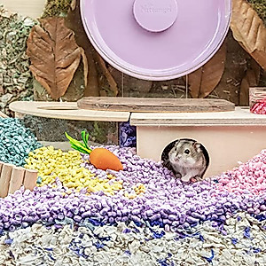 Niteangel Hamster Chew & Decor Toys - for Syrian Dwarf Hamsters Gerbils Mice Lemming Degu or Other Small-Sized Pets (Carrot-Shape (Pack of 6))