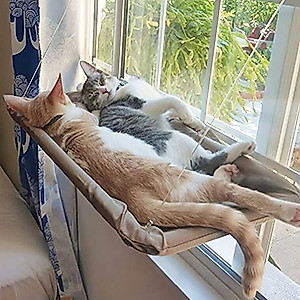 cat Hammock Perch cat Window Hammock Bed seat Shelf for Indoor Cats Resting Seat Safety Holds Two Cats, Cat Perch Safety Resting Shelf 360°Sunny Seat Space Saving Cat Beds (Premium Silver Gray)
