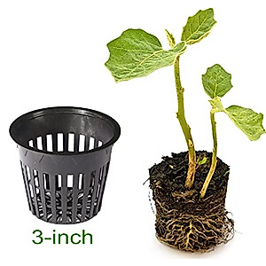 HORTIPOTS 3 Inch Net Pot Wide Lip Design Mesh Cup with Reflective Net Cup Lids (32 Set)-Not Real 3 inch When You Measure it.