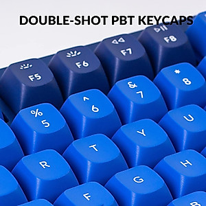 Keychron Q3 Wired Custom Mechanical Keyboard Knob Version, TKL Tenkeyless QMK/VIA Programmable Macro with Hot-swappable Gateron G Pro Red Switch Double Gasket Compatible with Mac Windows Linux (Blue)