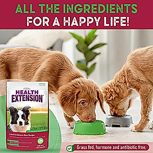 Health Extension Dry Dog Food, Natural Food for All Puppies & Dogs with Added Vitamins & Mineral, Lamb & Brown Rice Recipe (30 lb / 13.6 Kg)