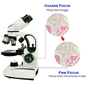 Sedumic Compound Binocular Microscope 40X-2000X LED Lighting for Kids Students Adults School Laboratory Home Education with Microscope Slides Set Phone Adapter Spiral Moving Scale