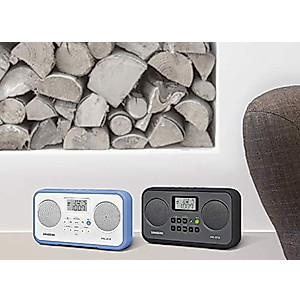 Sangean PR-D19BK FM Stereo/AM Digital Tuning Portable Radio with Protective Bumper (Gray/Black)