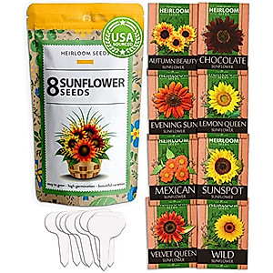 Sunflower Seeds for Planting Outside | 8 Variety Pack | Perennial Flower Seed for Your Sunflower Garden - Plant Mexican, Lemon Queen, Autumn Beauty | Dwarfs: Sunspot, Velvet Queen & More