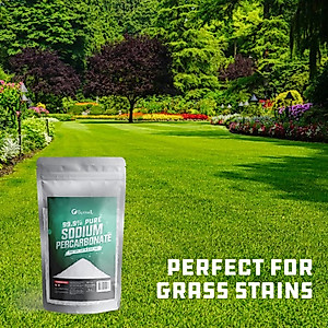 Ecoxall Premium Sodium Percarbonate - 2 Pound - 99.9% Oxygen Bleach Powder - Multipurpose Cleaner - For Laundry Stain Removal, Dishwasher, Deodorizer - Powder Stain Remover - Industrial Grade Strength