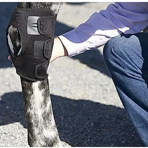 Ice Horse Pair Hock Wraps for Equine Therapy - Comes with 6 Ice Packs