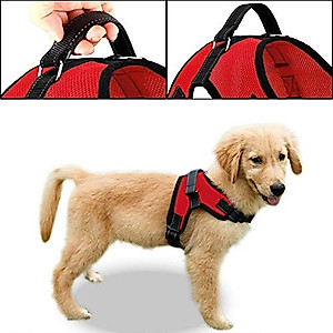 Copatchy No Pull Reflective Dog Harness (Small, red)