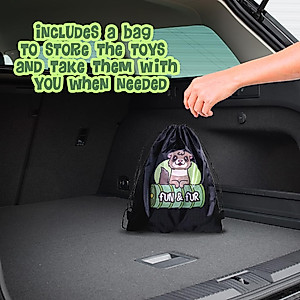 Ferret Toys 9 Pack & Ferret cage Accessories and Travel Pouch - Ferret Accessories, Ferret Tunnel, Ferret Ball - Ferret Bed, Ferret Stuff - Ferret Gifts for Ferret Lovers - Ferret chew Toys & Squeaky