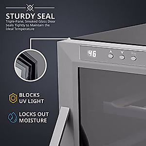 Ivation 12 Bottle Thermoelectric Wine Cooler/Chiller - Stainless Steel - Counter Top Red & White Wine Cellar w/Digital Temperature, Freestanding Refrigerator Smoked Glass Door Quiet Operation Fridge