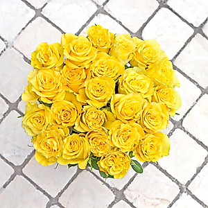 Fresh Cut 24 Yellow Roses - Fresh from the Farm Yellow Rose Bouquet – Hand-Selected Long-Lasting Gift and Home Decor Perfect Fresh Flowers |20" Long Stems No Vase-2 Dozen | Flowers Gift