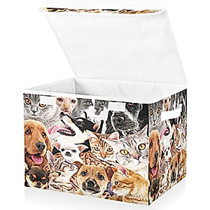 Kigai 3d Print Dogs & Cats Storage Baskets for Shelves Foldable Closet Basket Storage Bins with Lid for Clothes Home Office Toys Organizers