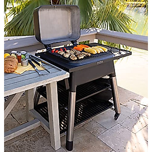 Everdure FORCE 2 Burner Gas Grill, Liquid Propane Portable BBQ Grill with Die-Cast Aluminum Body and Fast-Ignition Technology, 388 Square Inches of Grilling Surface, Adjustable Height, Graphite