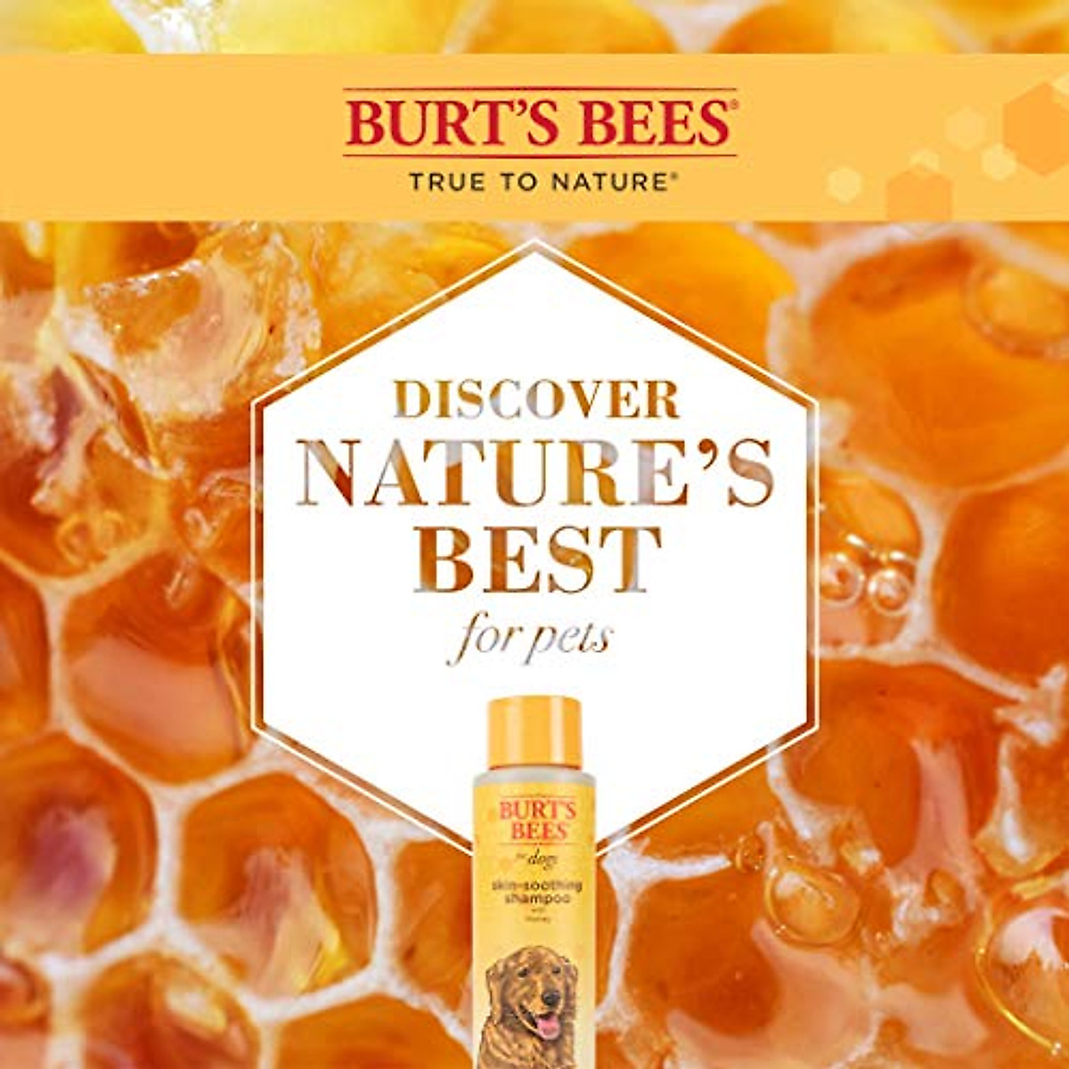 Burt's Bees for Dogs Natural Skin Soothing Shampoo with Honey | Dog Shampoo for All Dogs and Puppies | Safe for Dogs with Dry, Sensitive Skin | pH Balanced for Dogs - Made in USA, 16 Ounces - 2 Pack